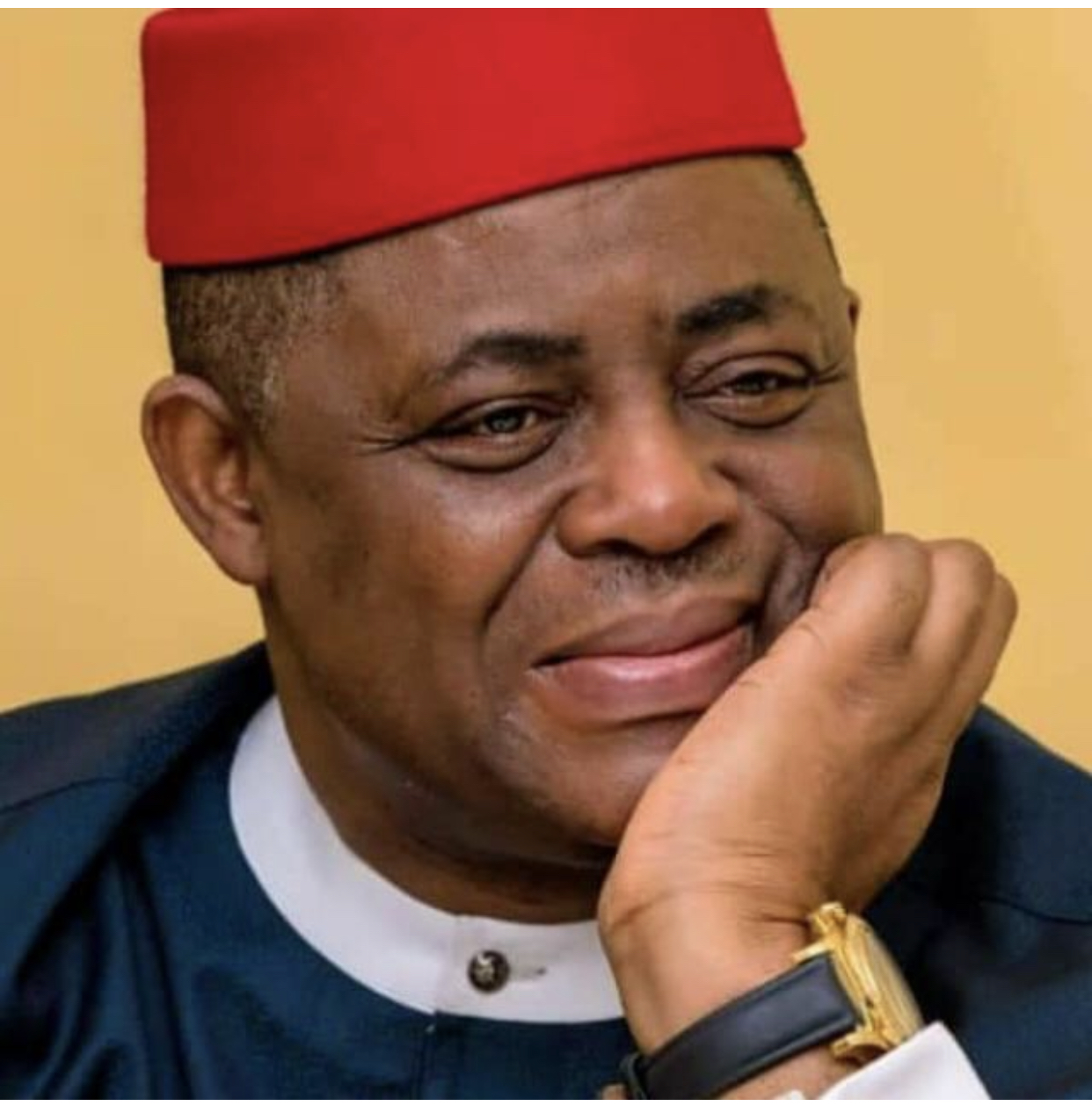 A LADY CALLED CORONA AND THE FUTURE OF NIGERIA - Chief Femi Fani-Kayode